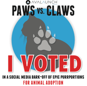 A Social Media Bark-Off of Epic Purrportions - Paws vs Claws [VOTE ...